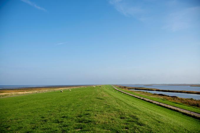 Fremskudte Dige, Det | Grænseforeningen.dk