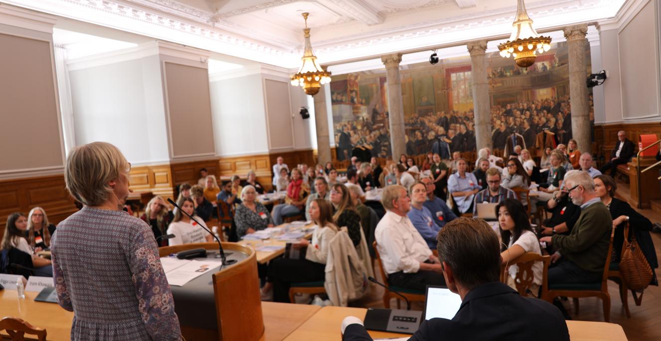 Bindestregsidentitet til debat på Christiansborg | Grænseforeningen.dk Bindestregsidentitet til debat på Christiansborg | Grænseforeningen.dk